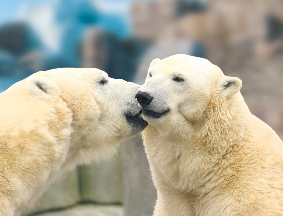 Tierpark Hagenbeck » Hamburger Zoo