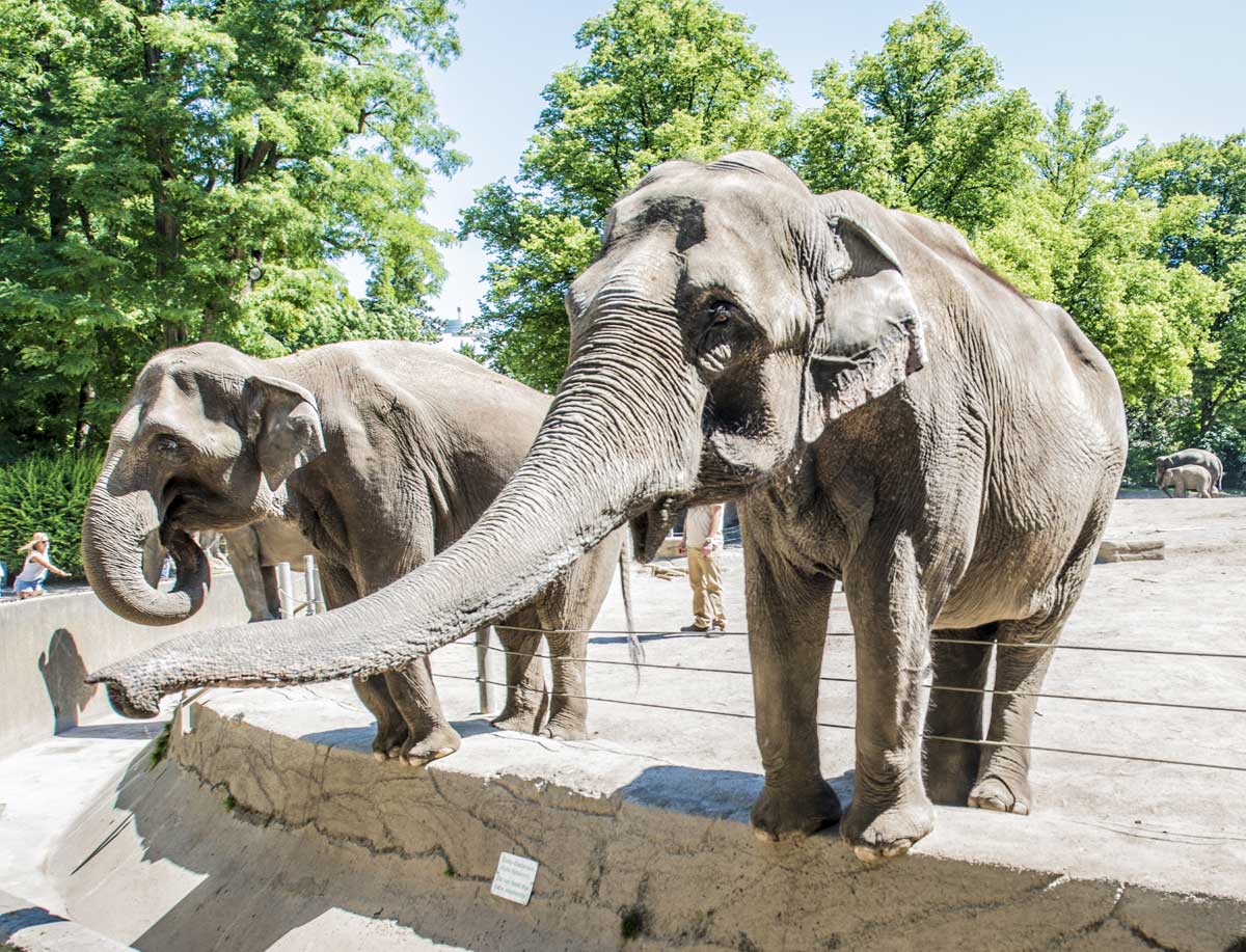 Tierpark Hagenbeck » Hamburger Zoo